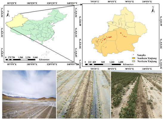 Remote Sensing | Free Full-Text | Soil Salinity Estimation in Cotton Fields in Arid Regions ...