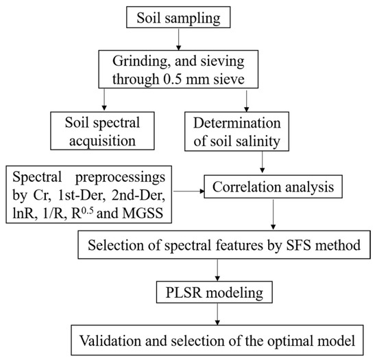 Soil Salinity Estimation in Cotton Fields in Arid Regions Based on ...