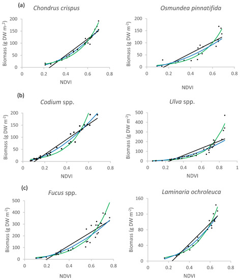 New Methodology for Intertidal Seaweed Biomass Estimation Using Multispectral Data Obtained with ...