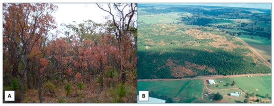 Remote Sensing | Free Full-Text | Application of Remote Sensing in ...