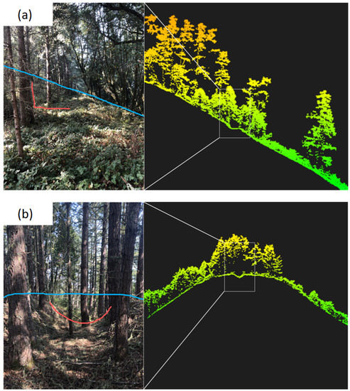 Remote Sensing | Free Full-Text | Identification of Abandoned Logging ...