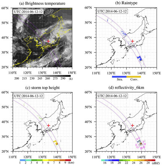A Preliminary Analysis of Typical Structures and Microphysical ...