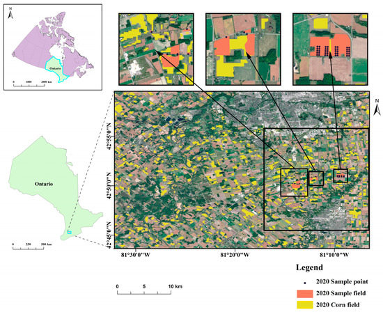 Remote Sensing | Free Full-Text | Corn Phenology Detection Using the ...