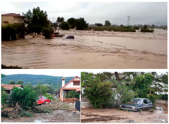 Applying a 1D Convolutional Neural Network in Flood Susceptibility ...