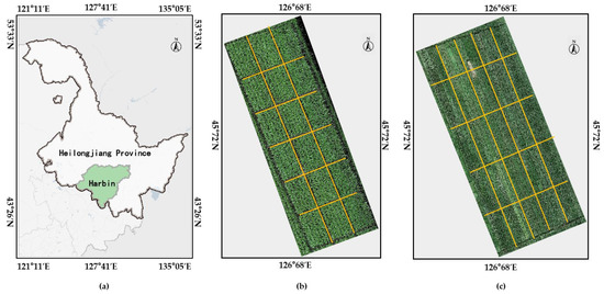 A Prediction Model Of Maize Field Yield Based On The Fusion Of Multitemporal And Multimodal Uav