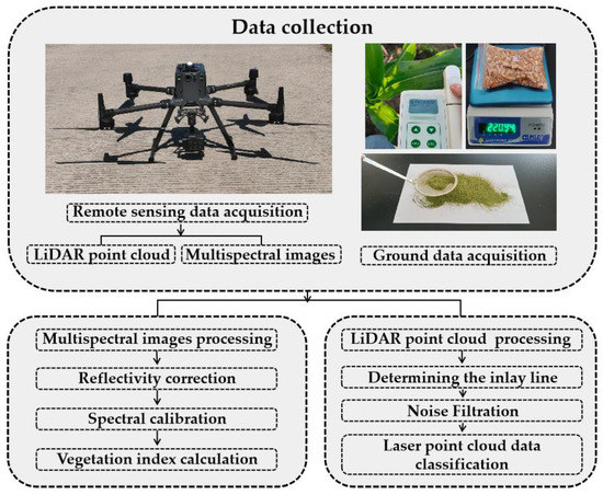 A Prediction Model Of Maize Field Yield Based On The Fusion Of Multitemporal And Multimodal Uav