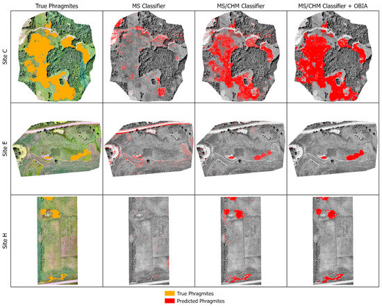 Using Voting-Based Ensemble Classifiers to Map Invasive Phragmites ...