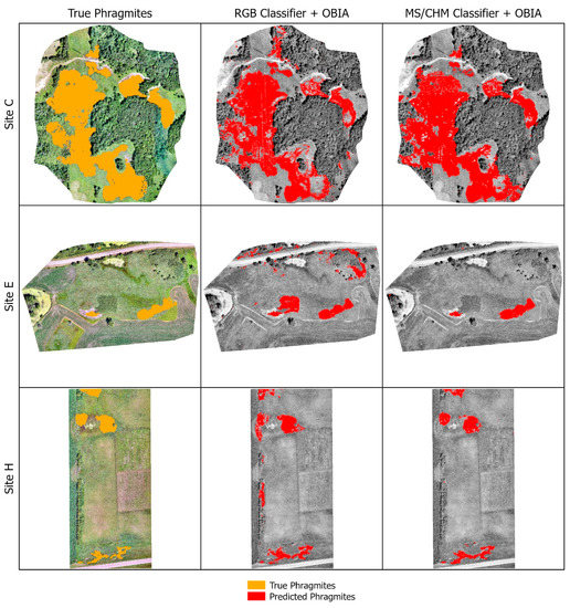 Using Voting-Based Ensemble Classifiers to Map Invasive Phragmites ...