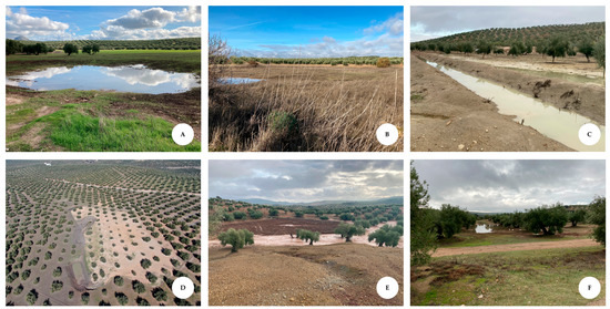 Technological Advances to Rescue Temporary and Ephemeral Wetlands ...