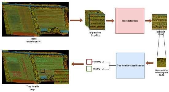 UAV-Based Computer Vision System for Orchard Apple Tree Detection and ...