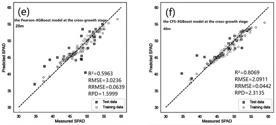 Remote Sensing Free Full Text Estimation Of Winter Wheat Spad Values Based On Uav
