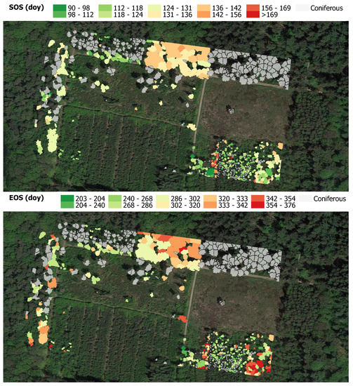Remote Sensing | Free Full-Text | Monitoring Individual Tree Phenology ...
