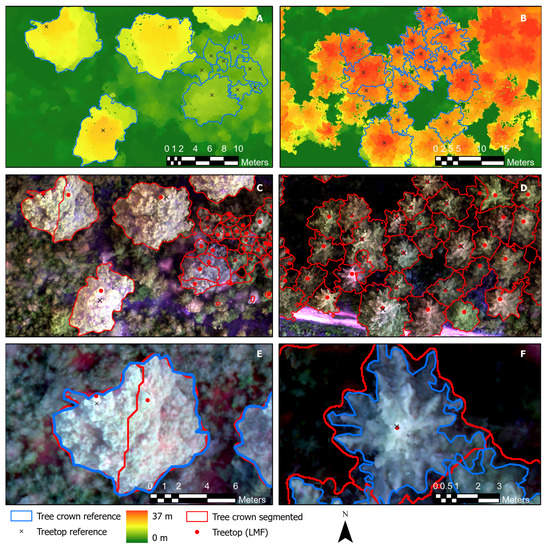 Remote Sensing | Free Full-Text | Monitoring Individual Tree Phenology ...