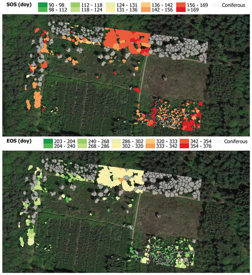 Remote Sensing | Free Full-Text | Monitoring Individual Tree Phenology ...