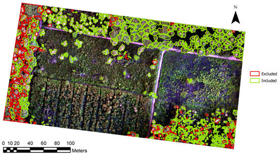 Remote Sensing | Free Full-Text | Monitoring Individual Tree Phenology in a Multi-Species Forest ...