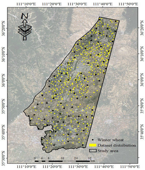 A Spatial Distribution Extraction Method for Winter Wheat Based on Improved U-Net