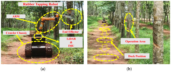 Active Navigation System for a Rubber-Tapping Robot Based on Trunk Detection
