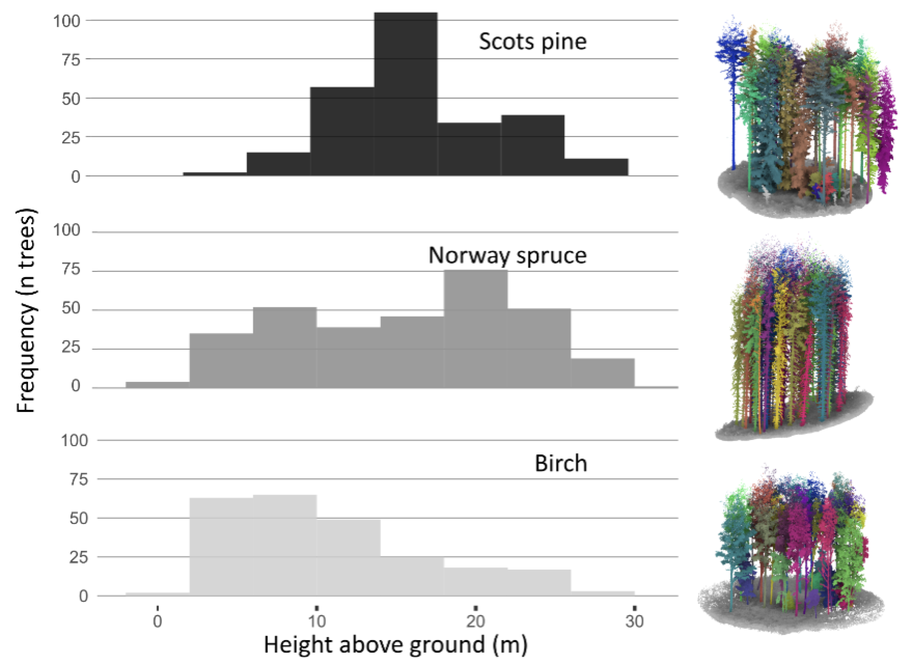 Remote Sensing | Free Full-Text | Point2Tree(P2T)—Framework for ...