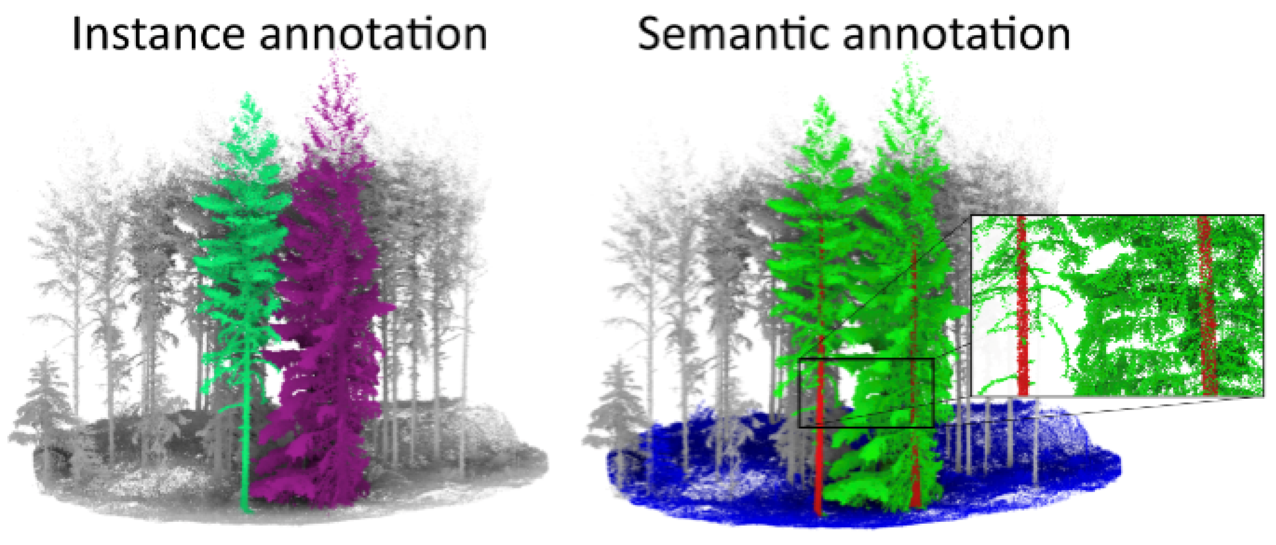 Remote Sensing | Free Full-Text | Point2Tree(P2T)—Framework for Parameter Tuning of Semantic and ...