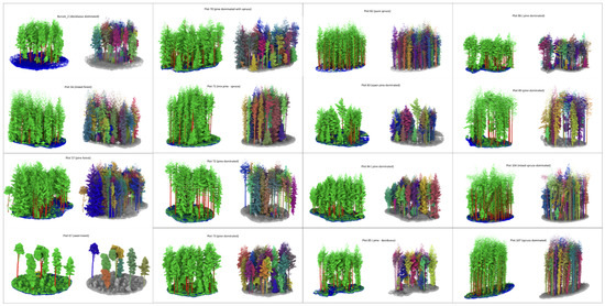 Remote Sensing Free Full Text Point2treep2t—framework For Parameter Tuning Of Semantic And