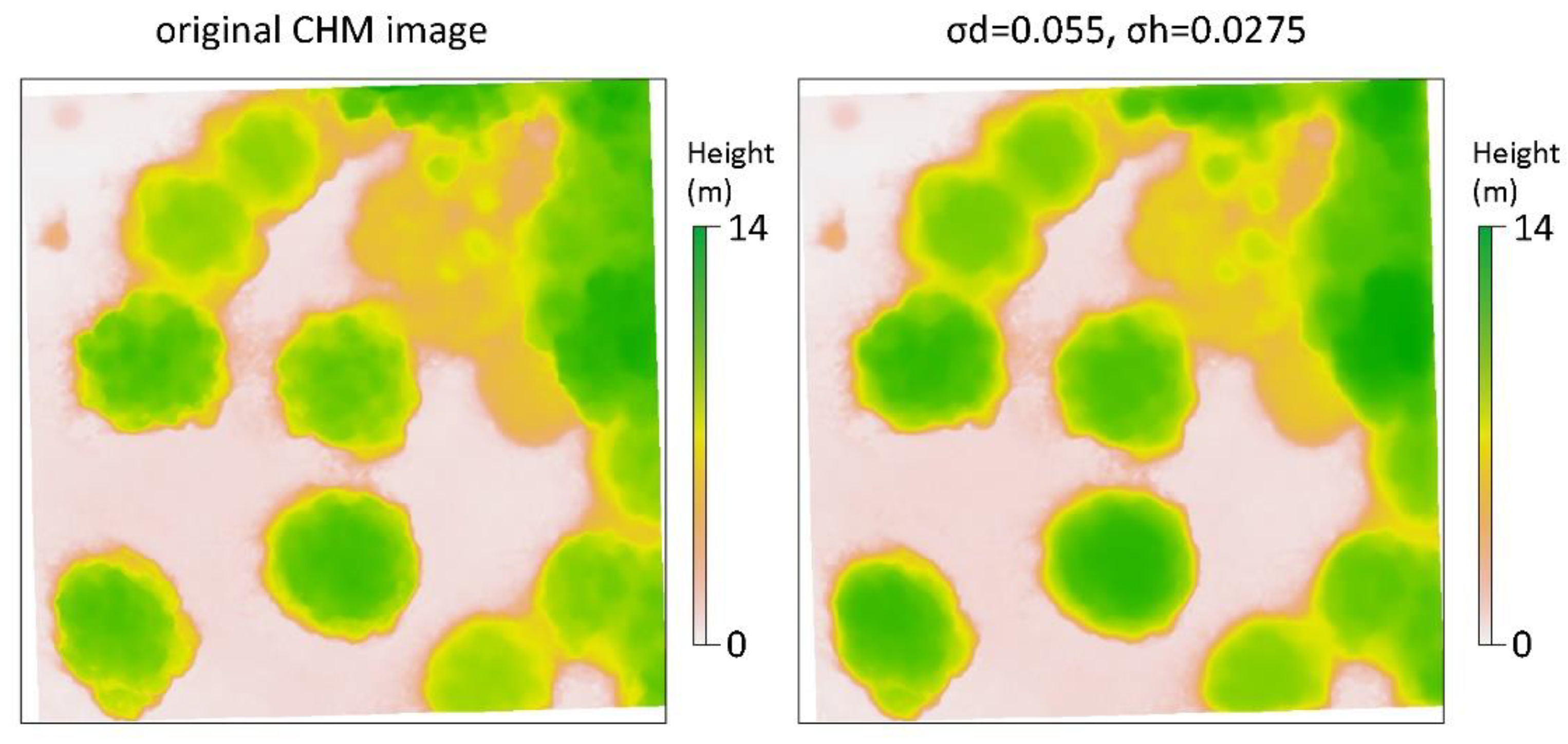 Urban Treetop Detection and Tree-Height Estimation from Unmanned-Aerial ...