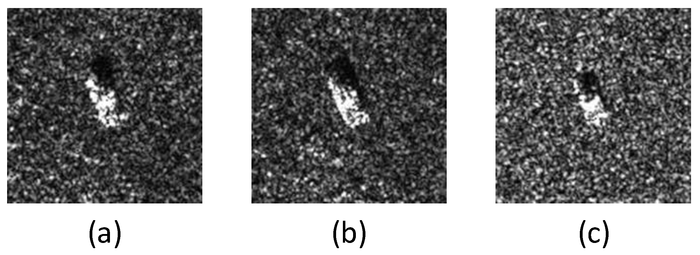 An SAR Image Automatic Target Recognition Method Based on the Scattering Parameter Gaussian ...