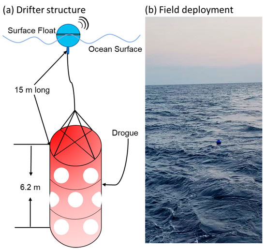 Asymmetric Drifter Trajectories in an Anticyclonic Mesoscale Eddy