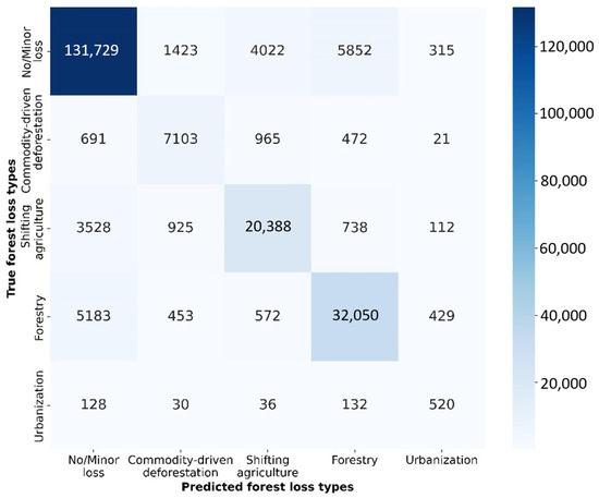 Reconstruction of Human-Induced Forest Loss in China during 1900–2000