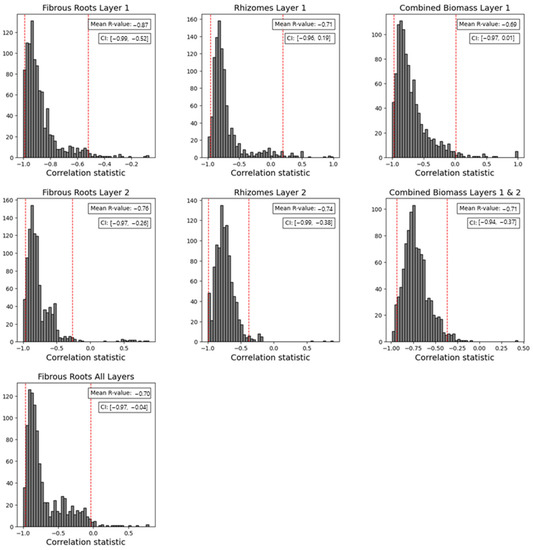 Remote Sensing | Free Full-Text | Wavelet Analysis of GPR Data for Belowground Mass Assessment ...