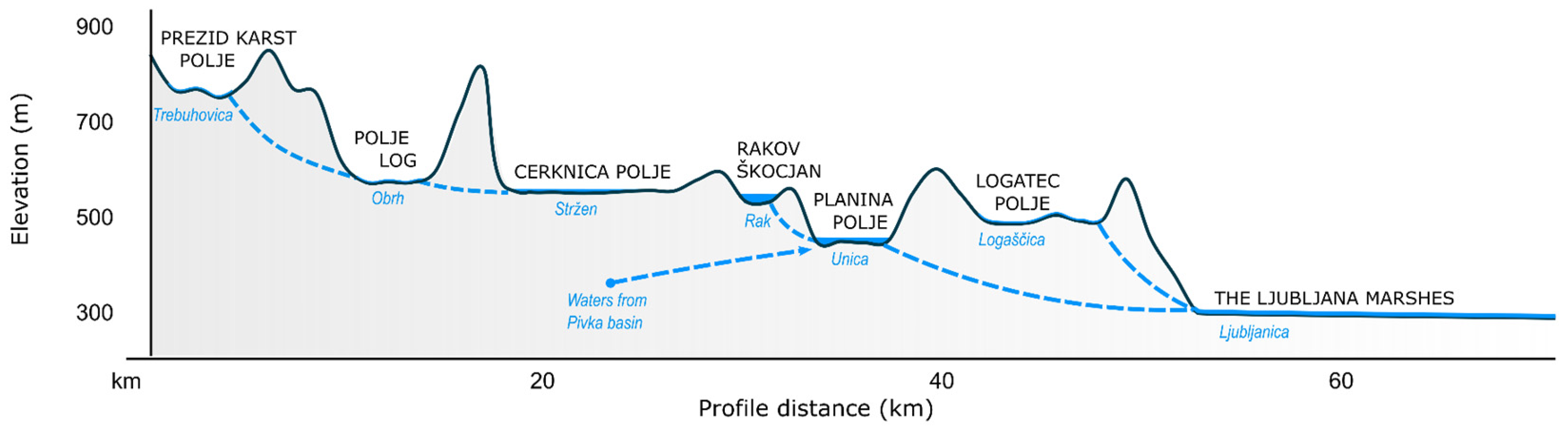 Water Dynamics Analysis in Karst Flood Areas Using Sentinel-1 Time Series
