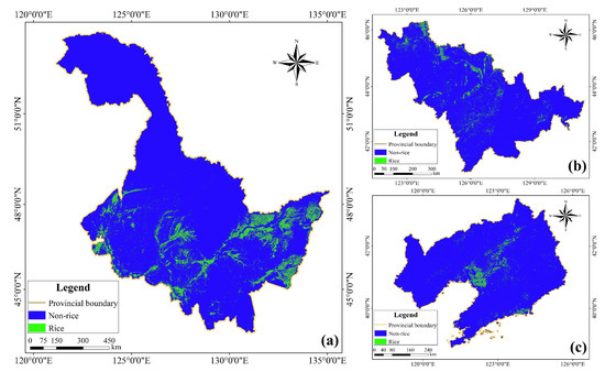 High-Resolution National-Scale Mapping of Paddy Rice Based on Sentinel ...