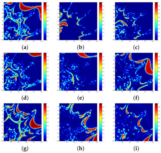 Remote Sensing | Free Full-Text | Robust Dual Spatial Weighted Sparse Unmixing for Remotely ...