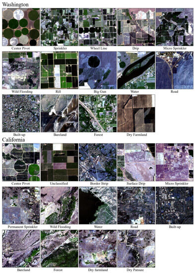 Mapping Irrigated Croplands from Sentinel-2 Images Using Deep Convolutional Neural Networks