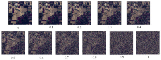 Random Shuffling Data for Hyperspectral Image Classification with Siamese and Knowledge ...
