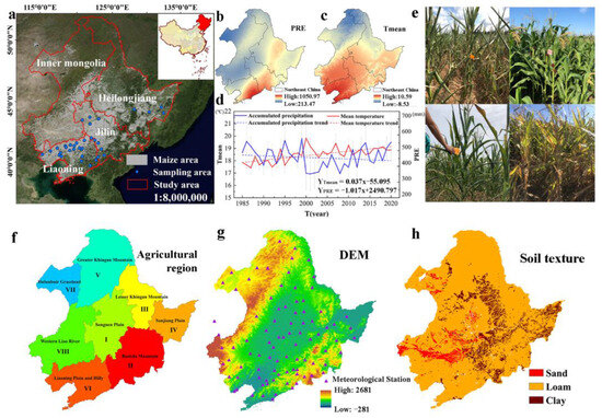 Remote Sensing Free Full Text Assessing The Spatial Temporal Pattern Of Spring Maize Drought