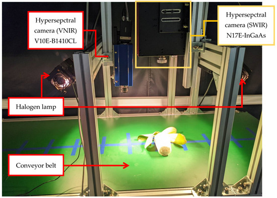 The Automated Detection of Fusarium Wilt on Phalaenopsis Using VIS-NIR ...