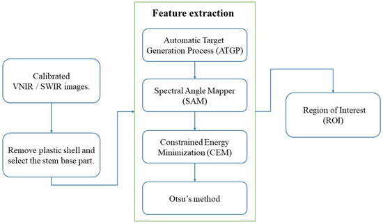 Remote Sensing | Free Full-Text | The Automated Detection of Fusarium ...
