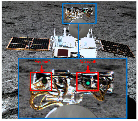 Three-Dimensional Reconstruction and Geometric Morphology Analysis of ...