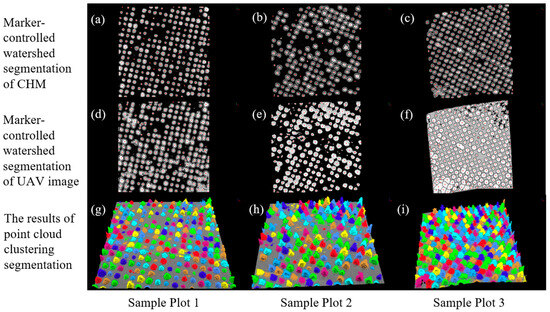 Remote Sensing | Free Full-Text | Remote Sensing Parameter Extraction ...