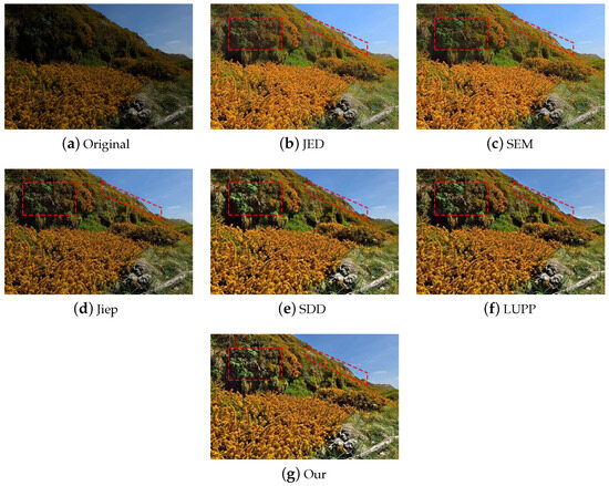 Low-Illumination Image Enhancement Using Local Gradient Relative Deviation for Retinex Models