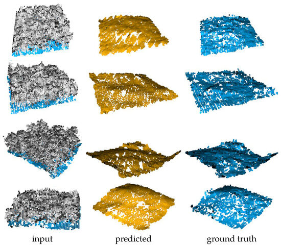 Learning Contours for Point Cloud Completion