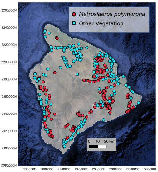Classifying a Highly Polymorphic Tree Species across Landscapes Using ...