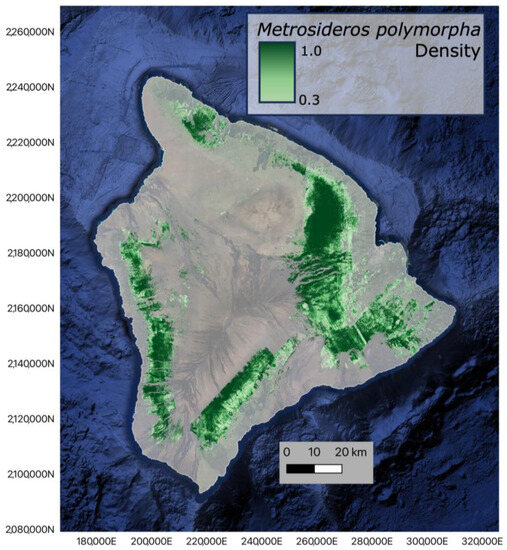 Classifying a Highly Polymorphic Tree Species across Landscapes Using ...