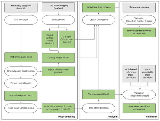 Tree Stem Detection and Crown Delineation in a Structurally Diverse ...