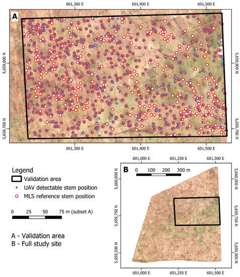 Remote Sensing | Free Full-Text | Tree Stem Detection and Crown ...