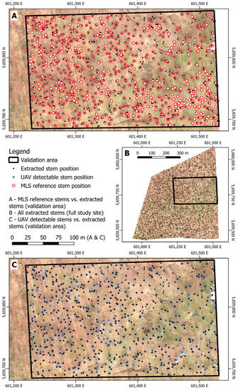 Remote Sensing | Free Full-Text | Tree Stem Detection and Crown ...