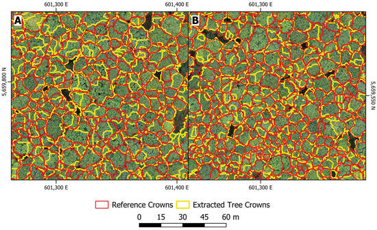 Tree Stem Detection and Crown Delineation in a Structurally Diverse Deciduous Forest Combining ...