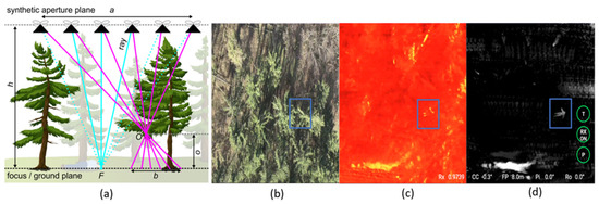 Synthetic Aperture Anomaly Imaging for Through-Foliage Target Detection