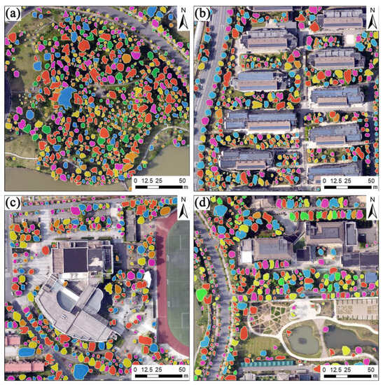 A Deep Learning Network for Individual Tree Segmentation in UAV Images ...