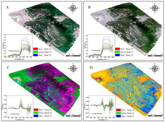 Remote Sensing | Free Full-Text | Leaf Area Index Inversion of Spartina alterniflora Using UAV ...